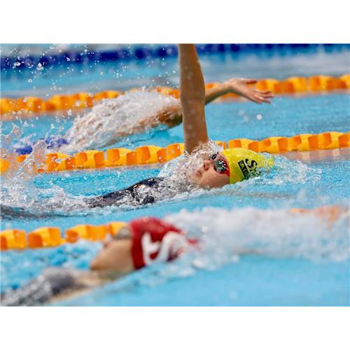 AIS SHARKS COMPETITIVE SWIM CLUB — Australian International School